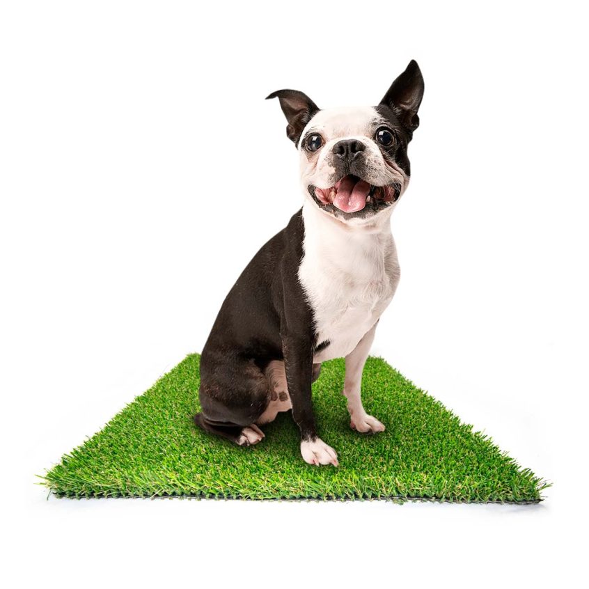 Smart Pet Potty Pads | Smart Turf® Artificial Grass