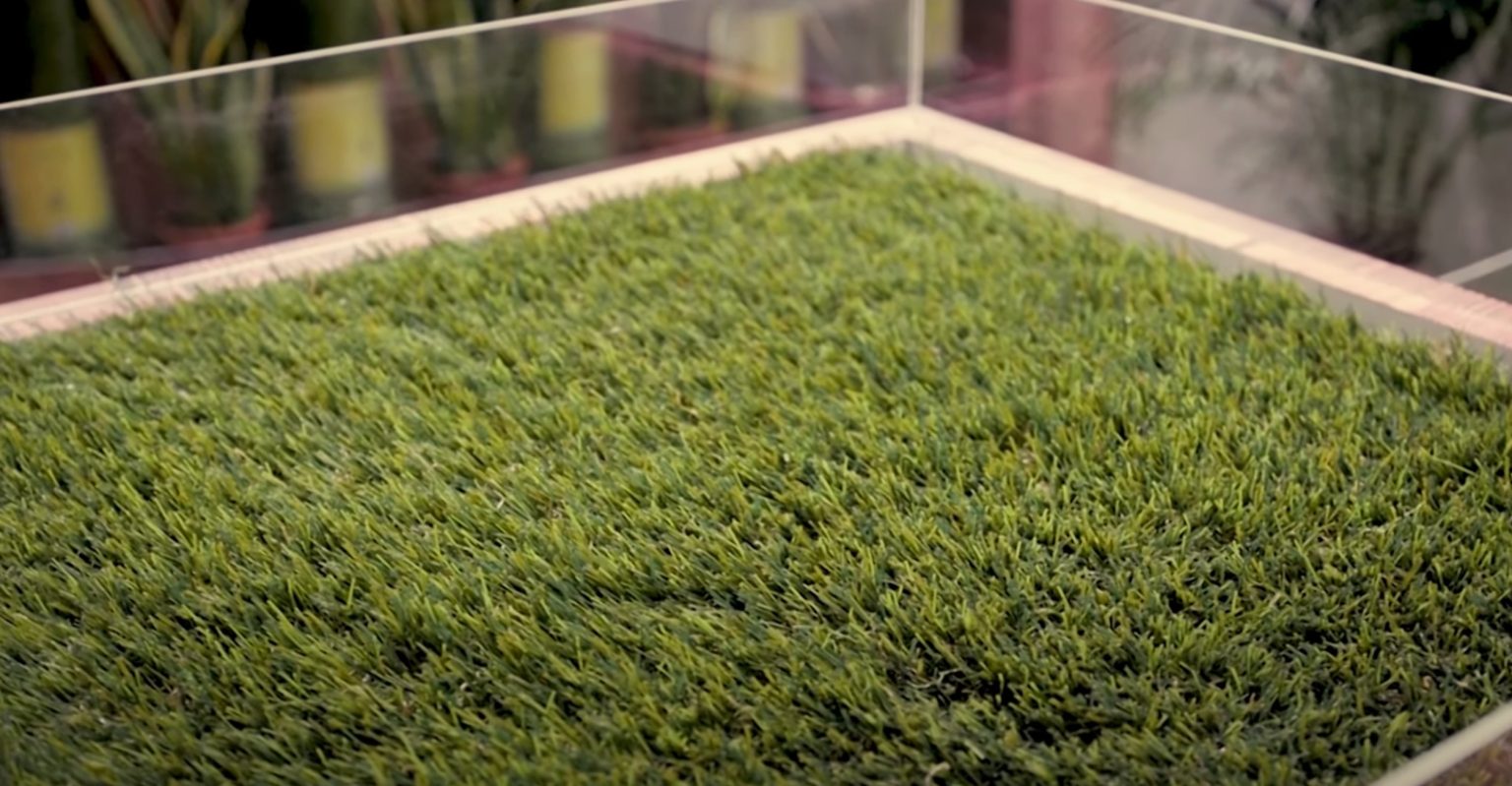 Artificial Grass Installation Cost Breakdown: How Much Will You Really ...