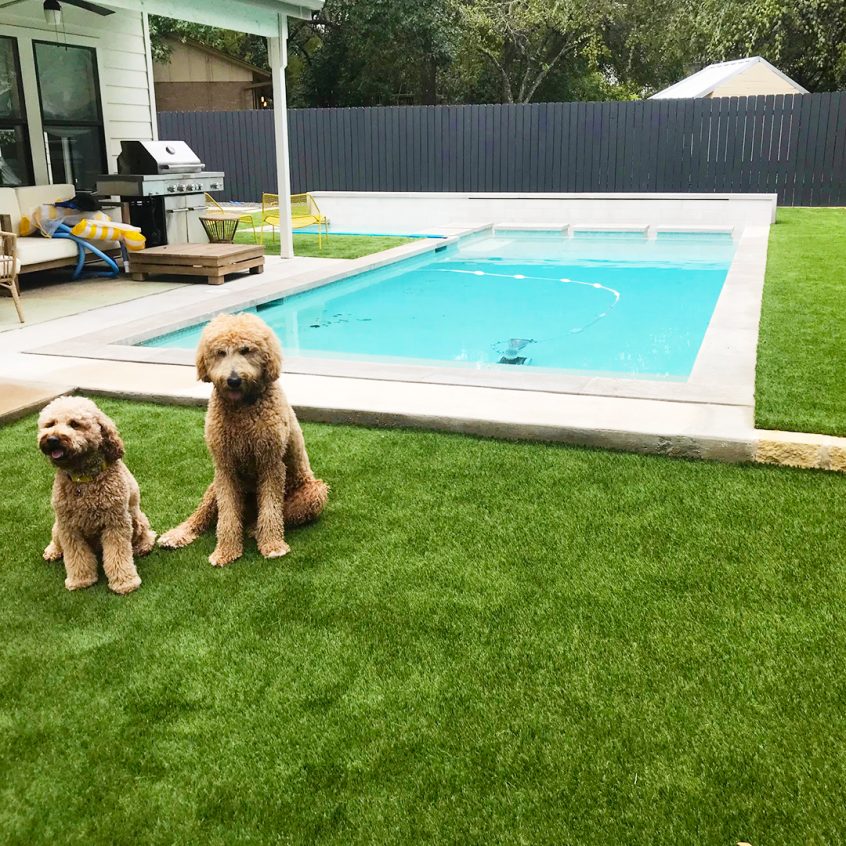 Things to Know About Installing Artificial Grass Around the Pool ...
