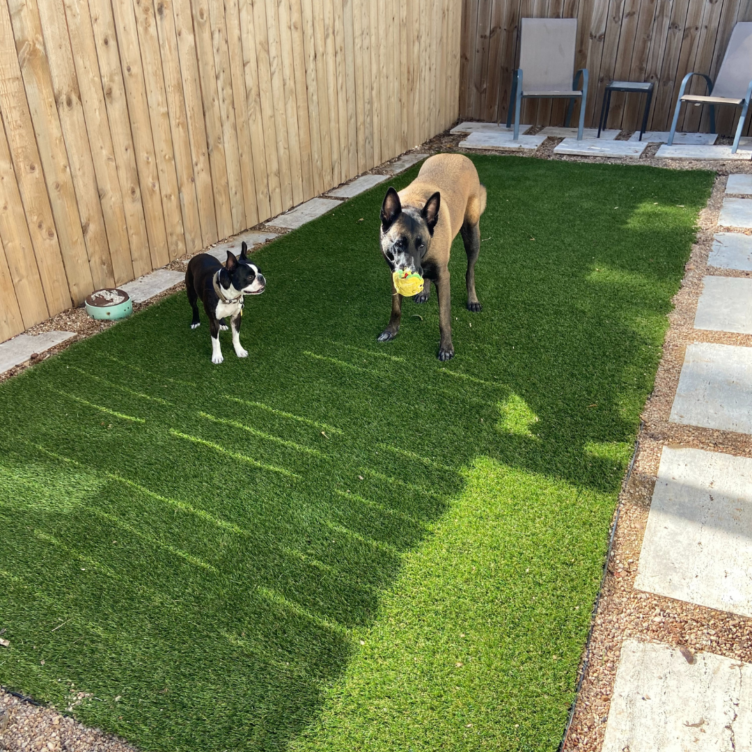 Recipe for a Great Pet Turf Installation | Smart Turf® Artificial Grass