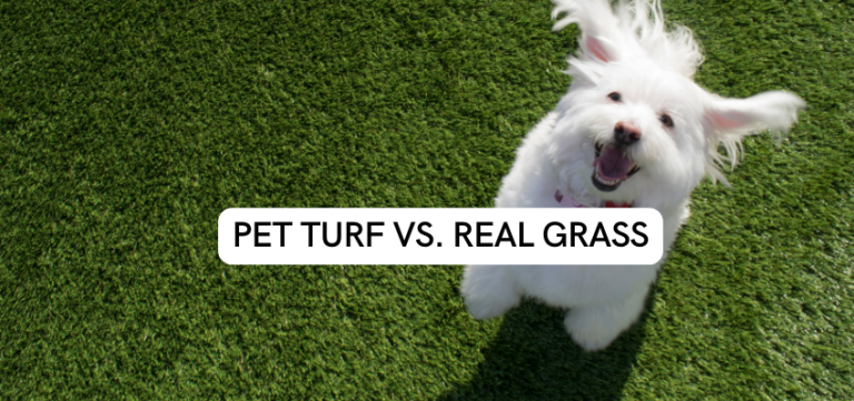 Pet Turf vs. Real Grass: Which Is Better for Your Backyard? | Smart ...