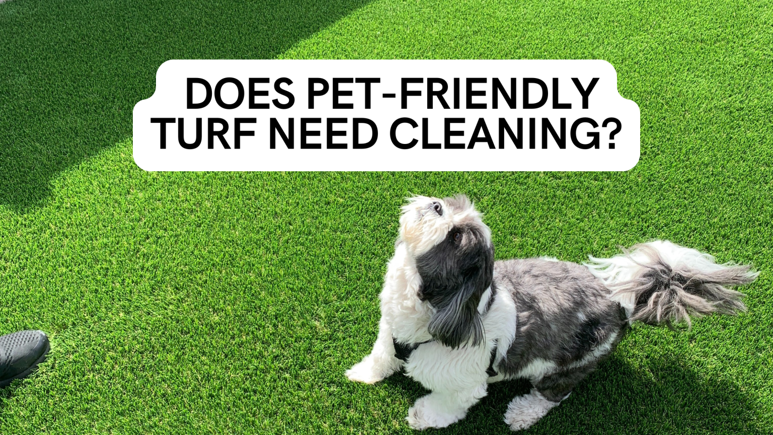 What Is Pet-Friendly Artificial Turf and Why Does It Need Cleaning ...