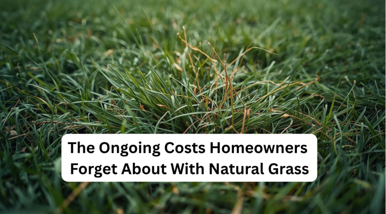 The Ongoing Costs Homeowners Forget About With Natural Grass | Smart ...